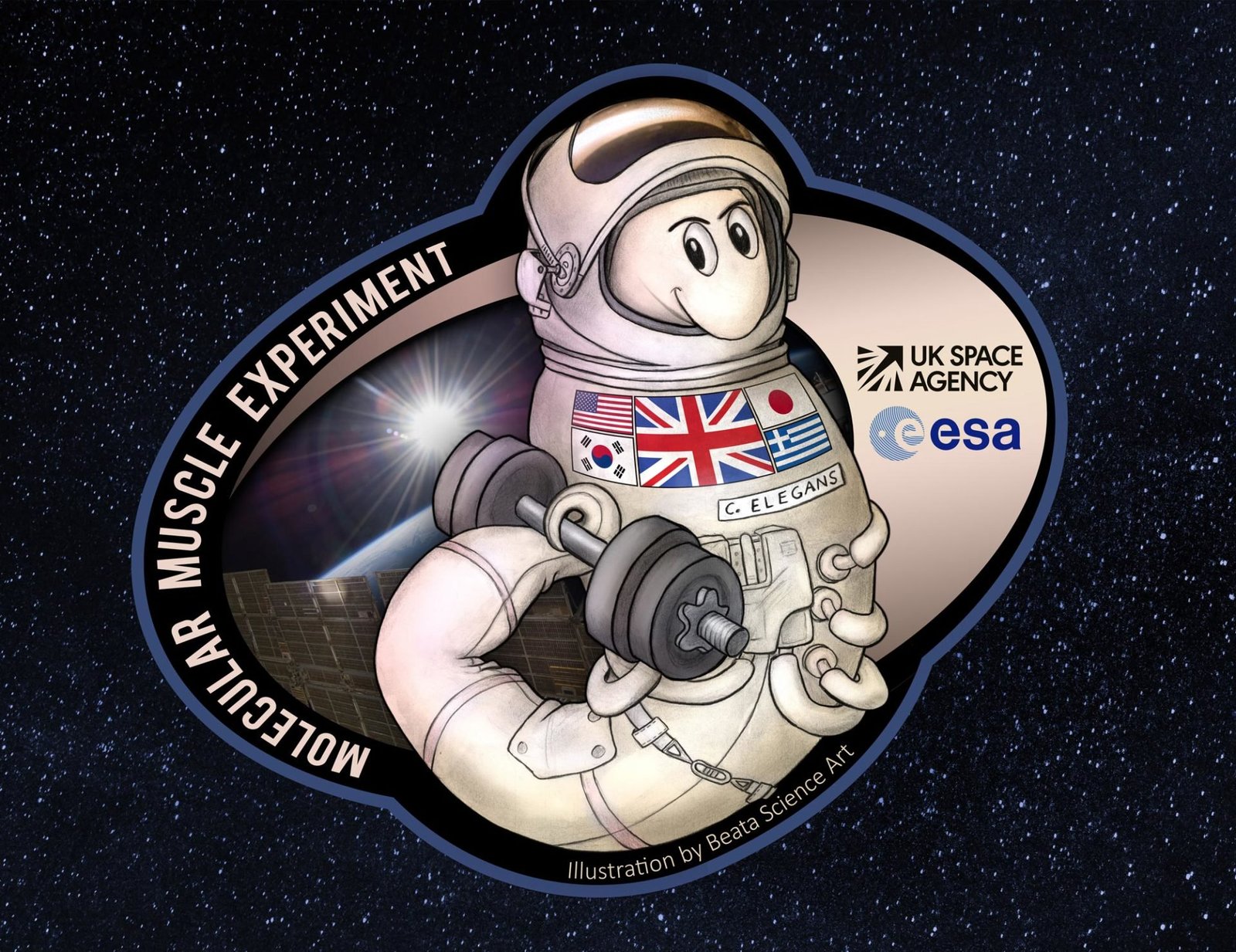 Mission Patch for Worms in Space! - Microscopya